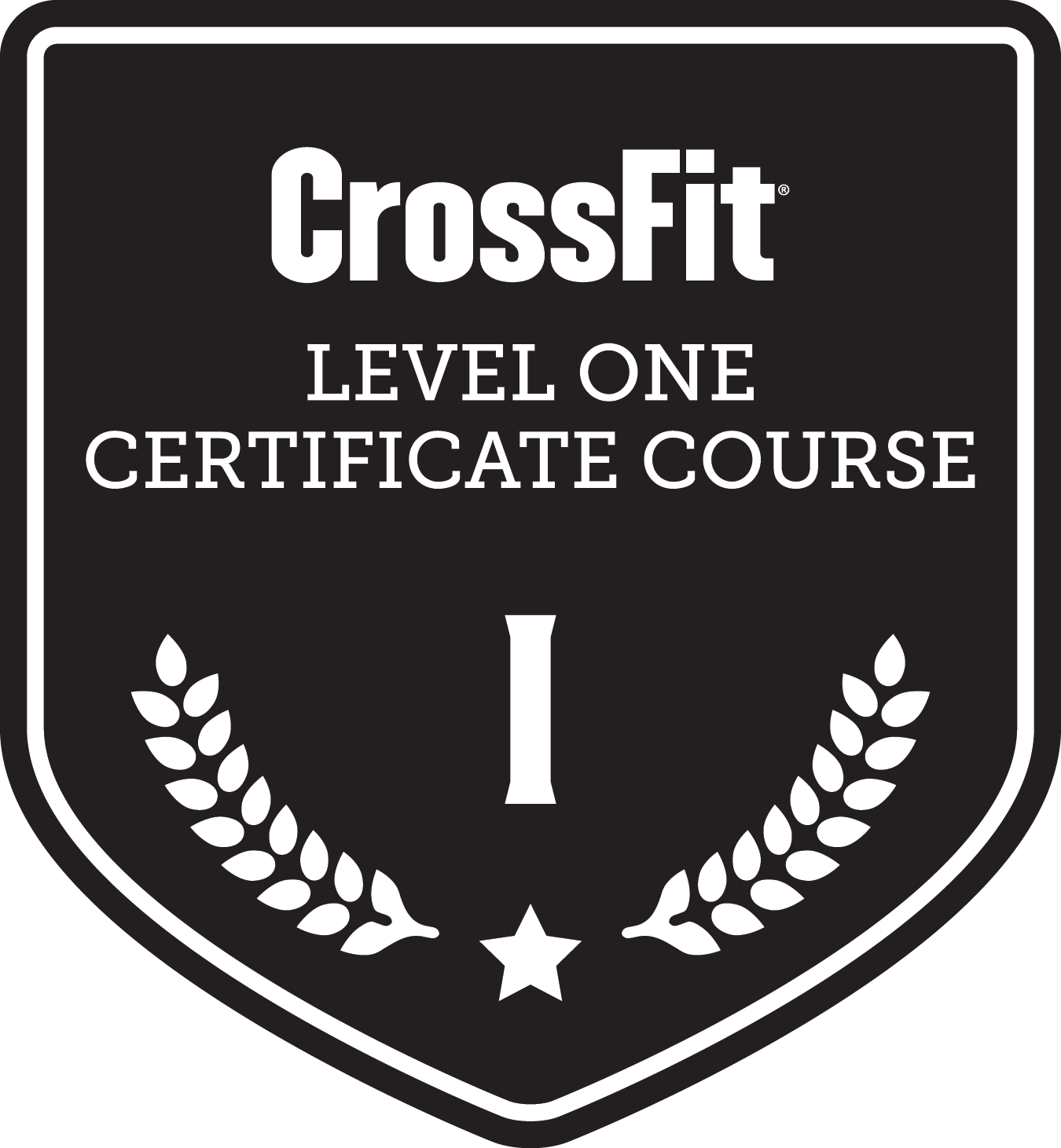Conheça as certificações para coach de CrossFit - Autoridade Cross | O ...